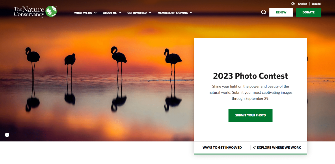 Top 15 Wildlife Organizations in the World