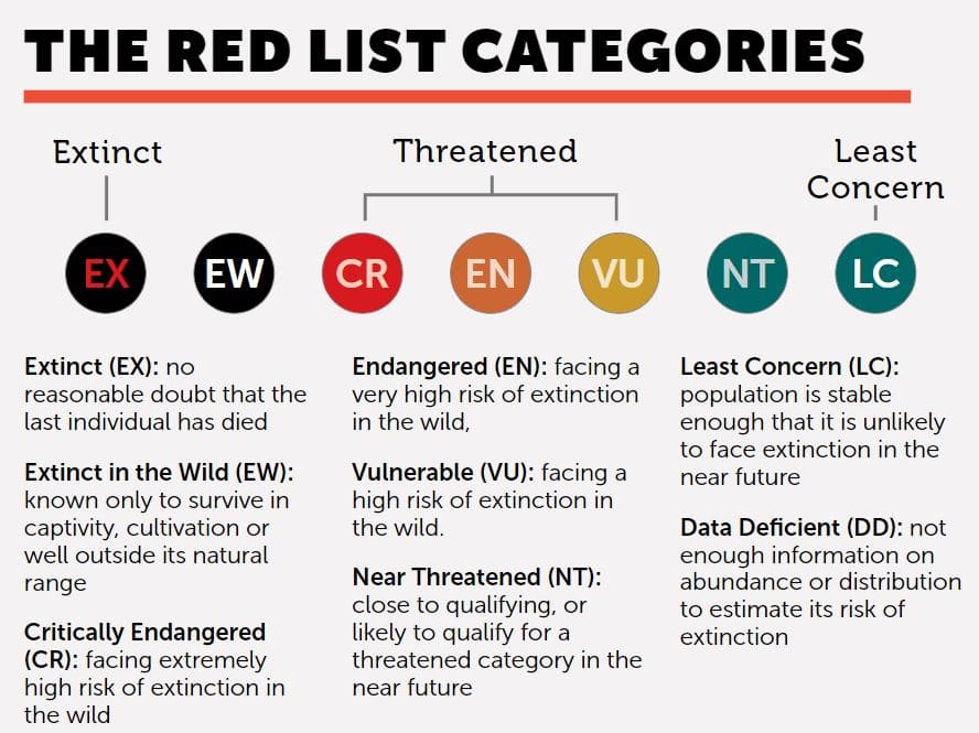IUCN Red List: Everything You Need to Know