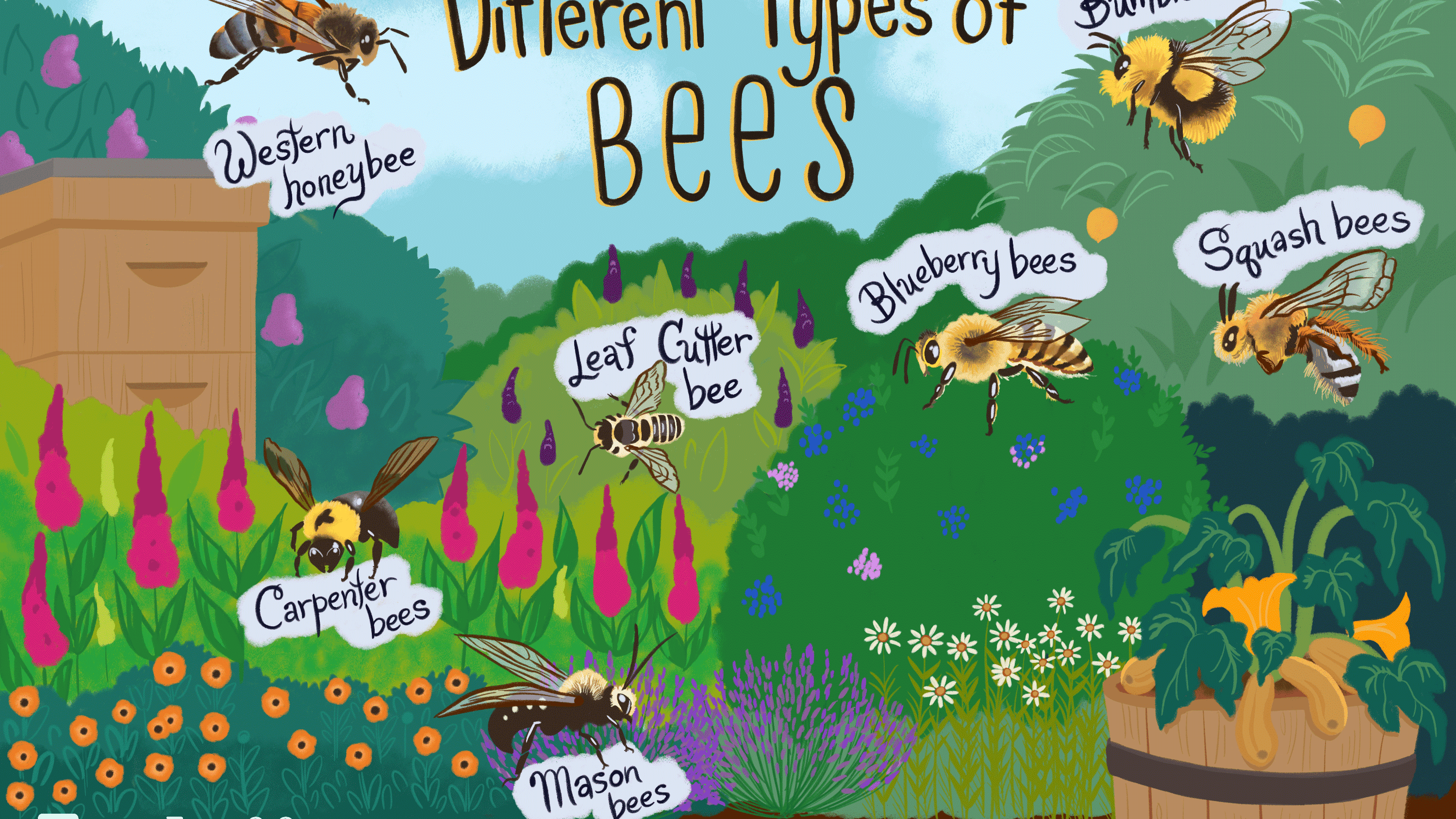 18 Different Types of Bees (With Pictures)