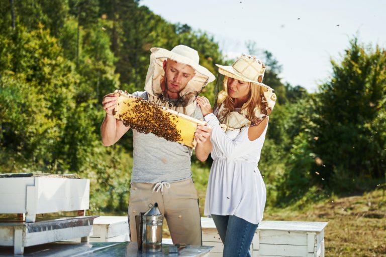 15 Types of Bees in Illinois
