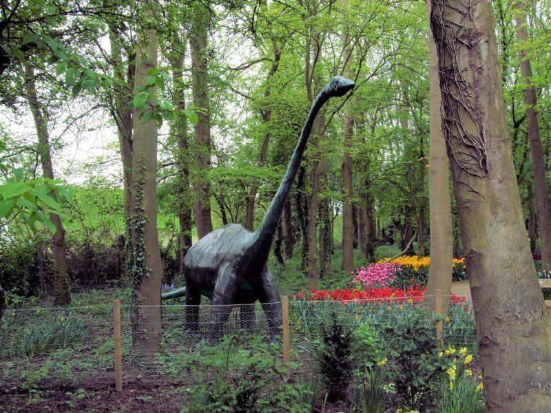 23 Animals With Long Necks