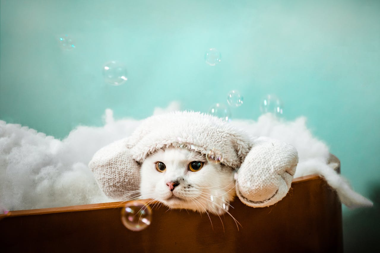 How to Bathe Your Furry Babies Properly