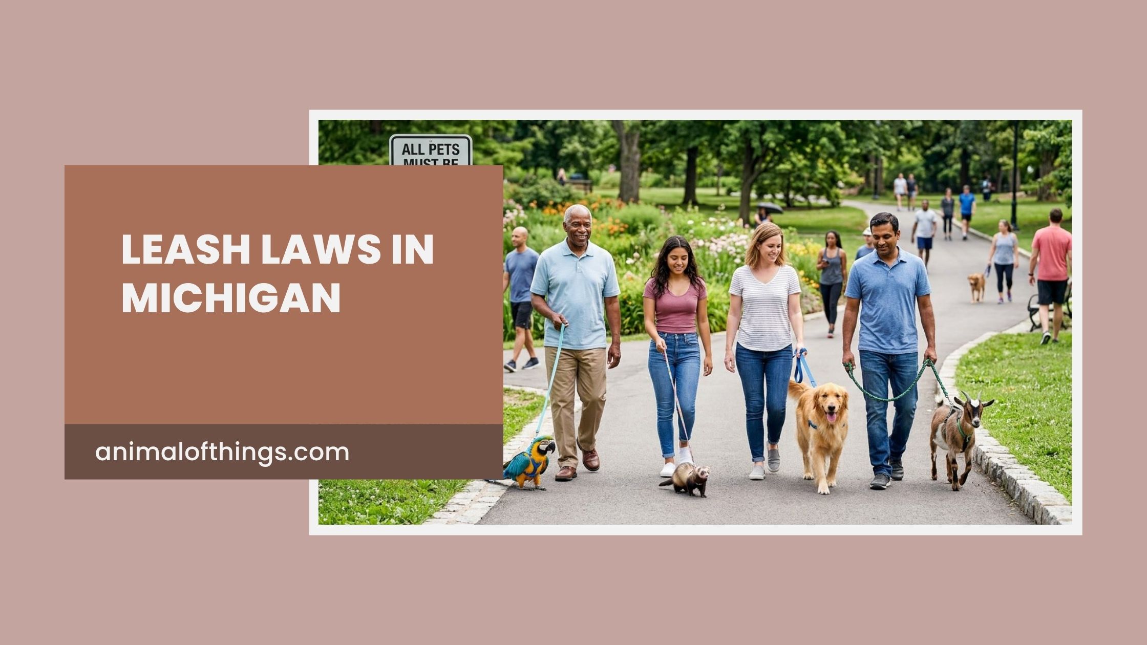 Leash Laws in Michigan: What Every Dog Owner Needs to Know