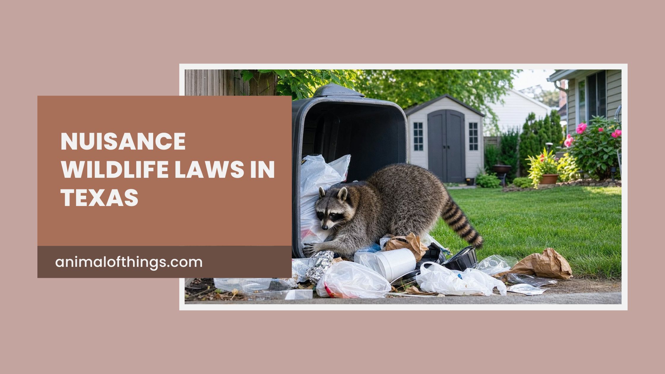 Nuisance Wildlife Laws in Texas: What Property Owners Are Actually ...