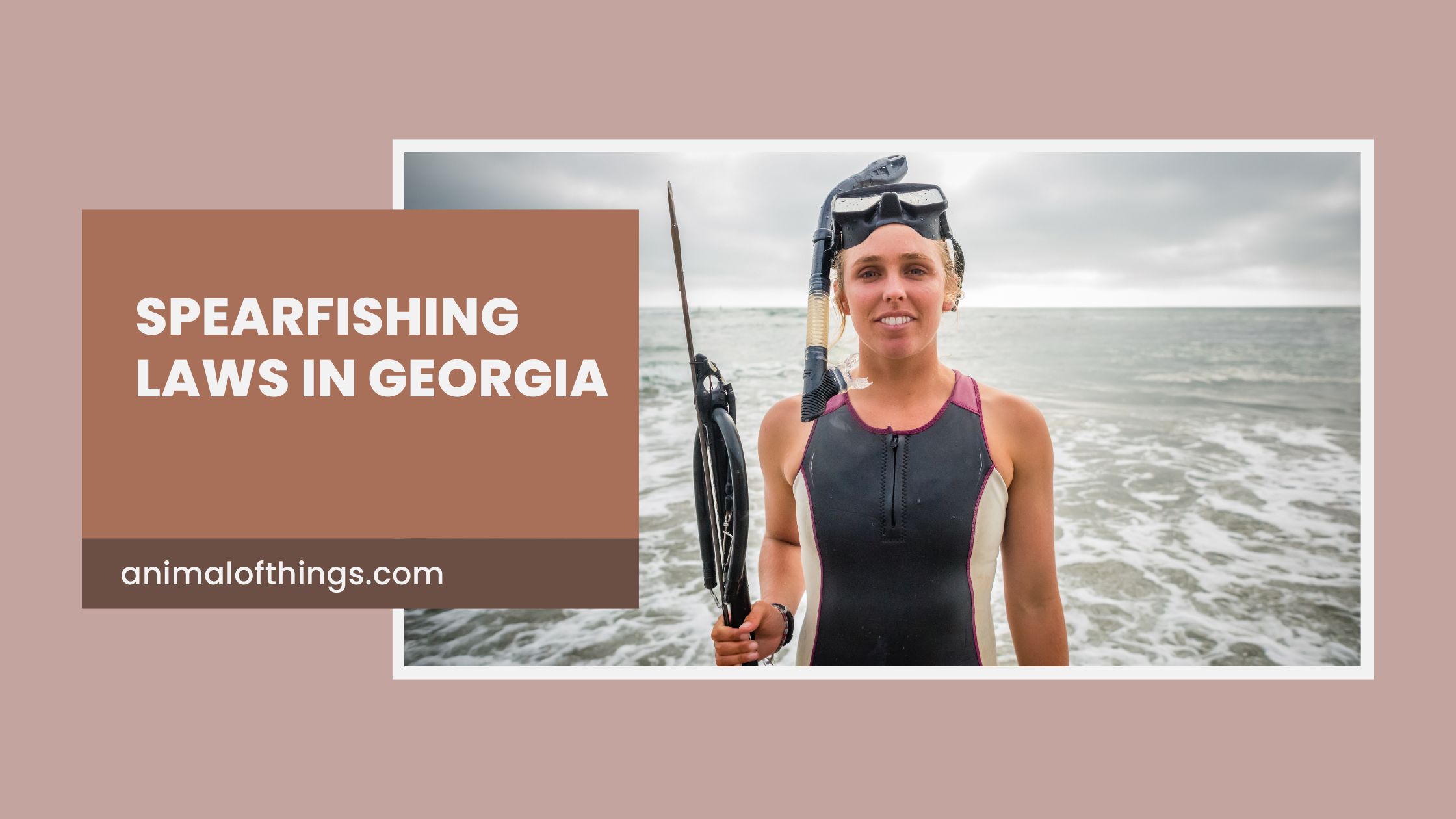 Spearfishing Laws in Georgia: What You Can and Cannot Do