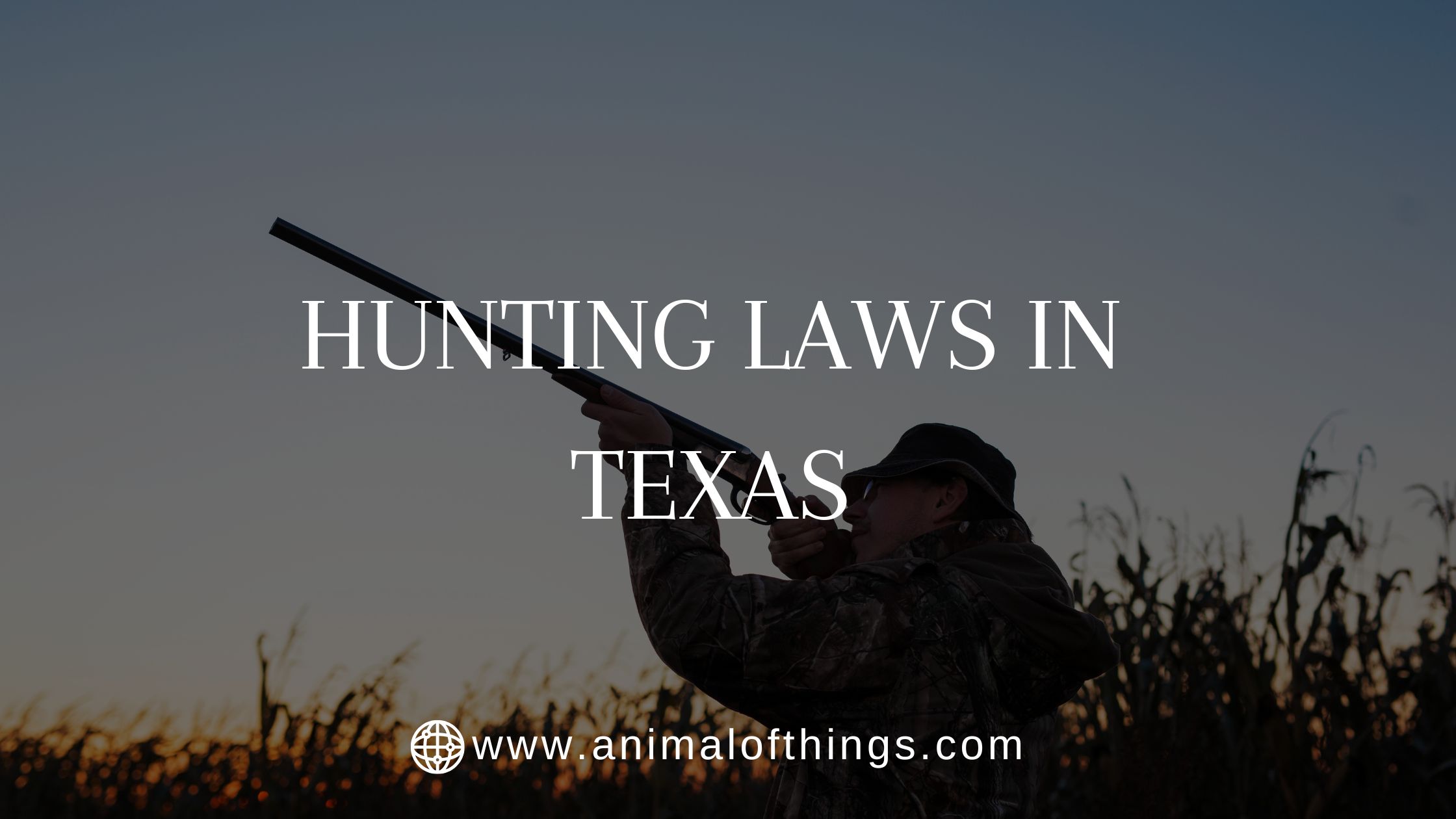 Texas Hunting Laws: Licenses, Seasons, Weapons, and Penalties Explained