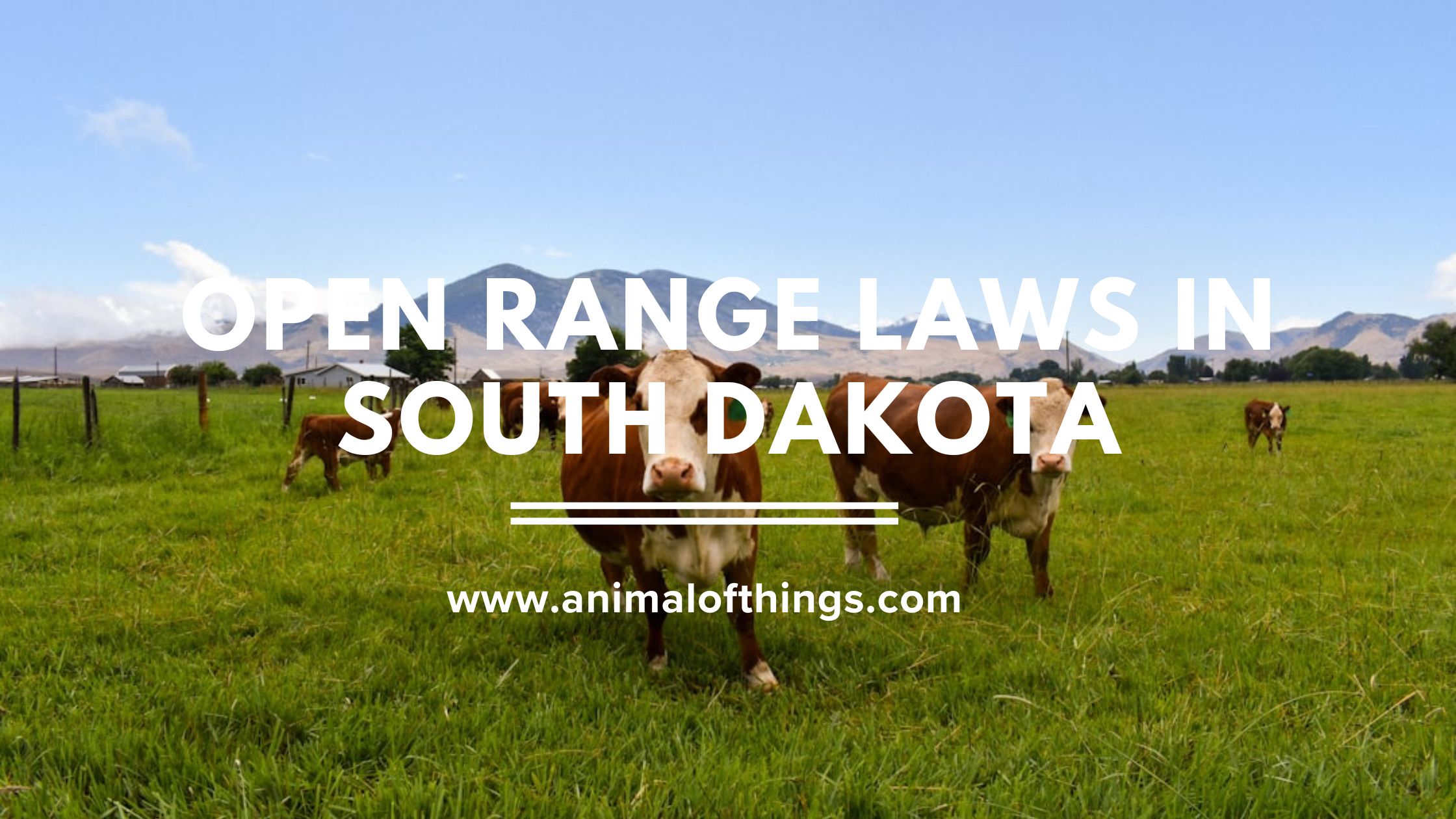 Open Range Laws in South Dakota: What Livestock Owners and Landowners ...